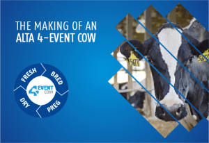 Alta COW WATCH - Alta Genetics